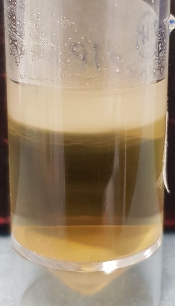 The use of bacterial cellulose as a technical textile - Manchester ...