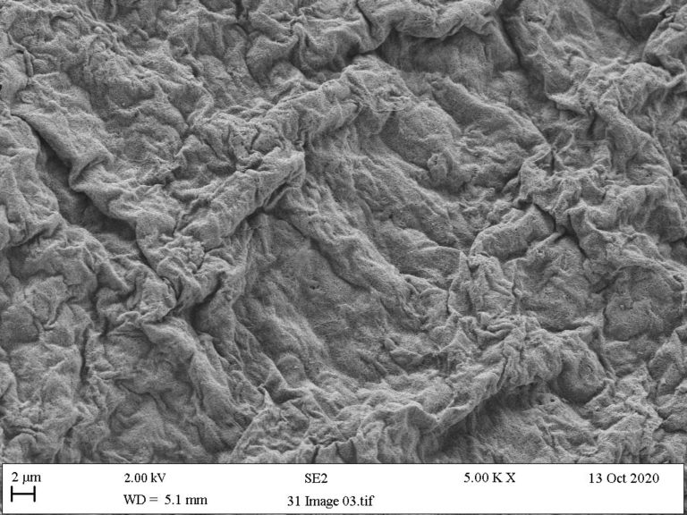 The use of bacterial cellulose as a technical textile - Manchester ...